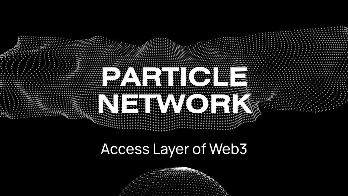 Particle Network Overview And Focus